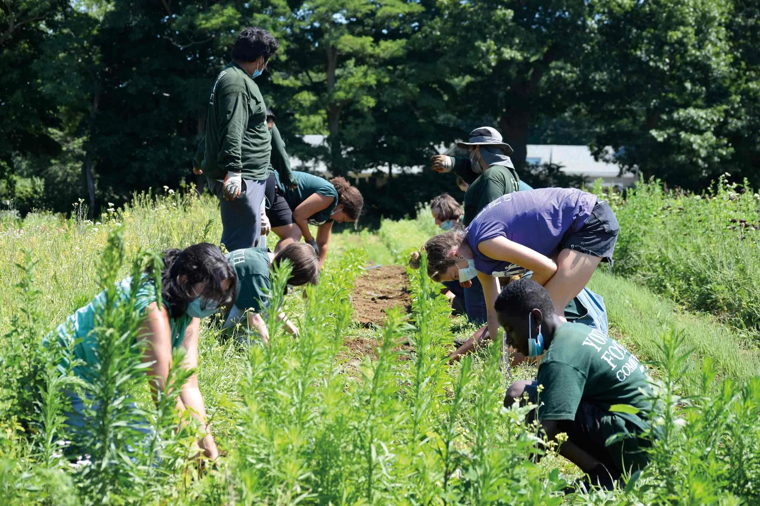 The Food Project Annual Report