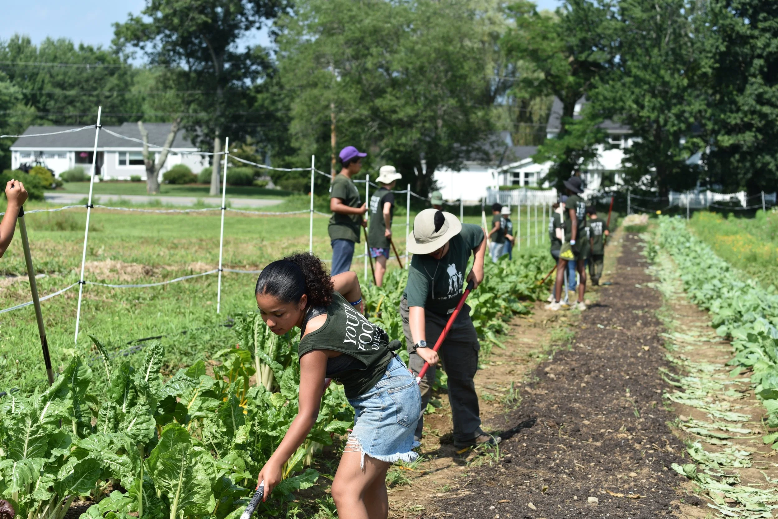 The Food Project Annual Report