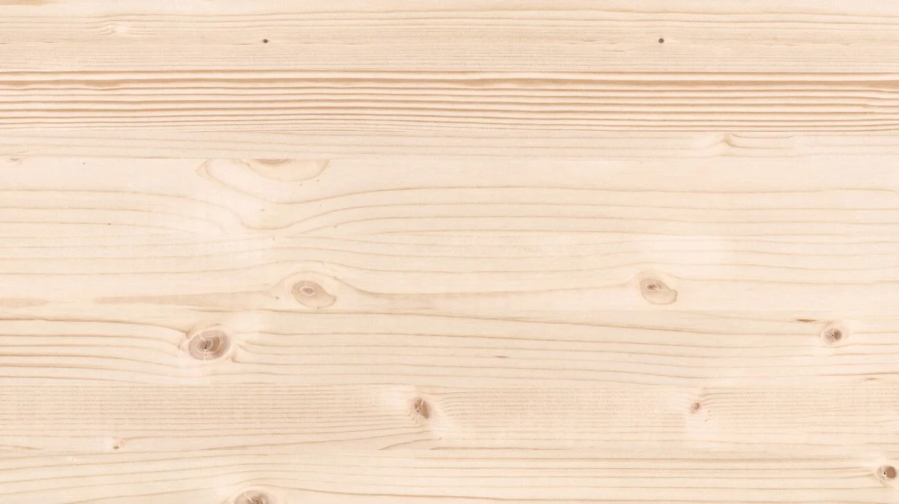 Productes — Bosc Nou