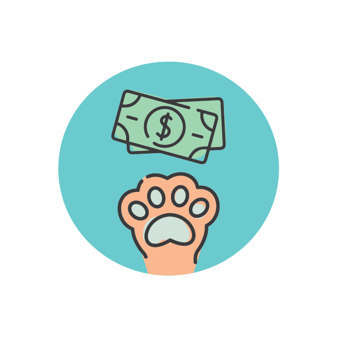 About HART — HART of Maine - Adoption Center & Shelter for Cats