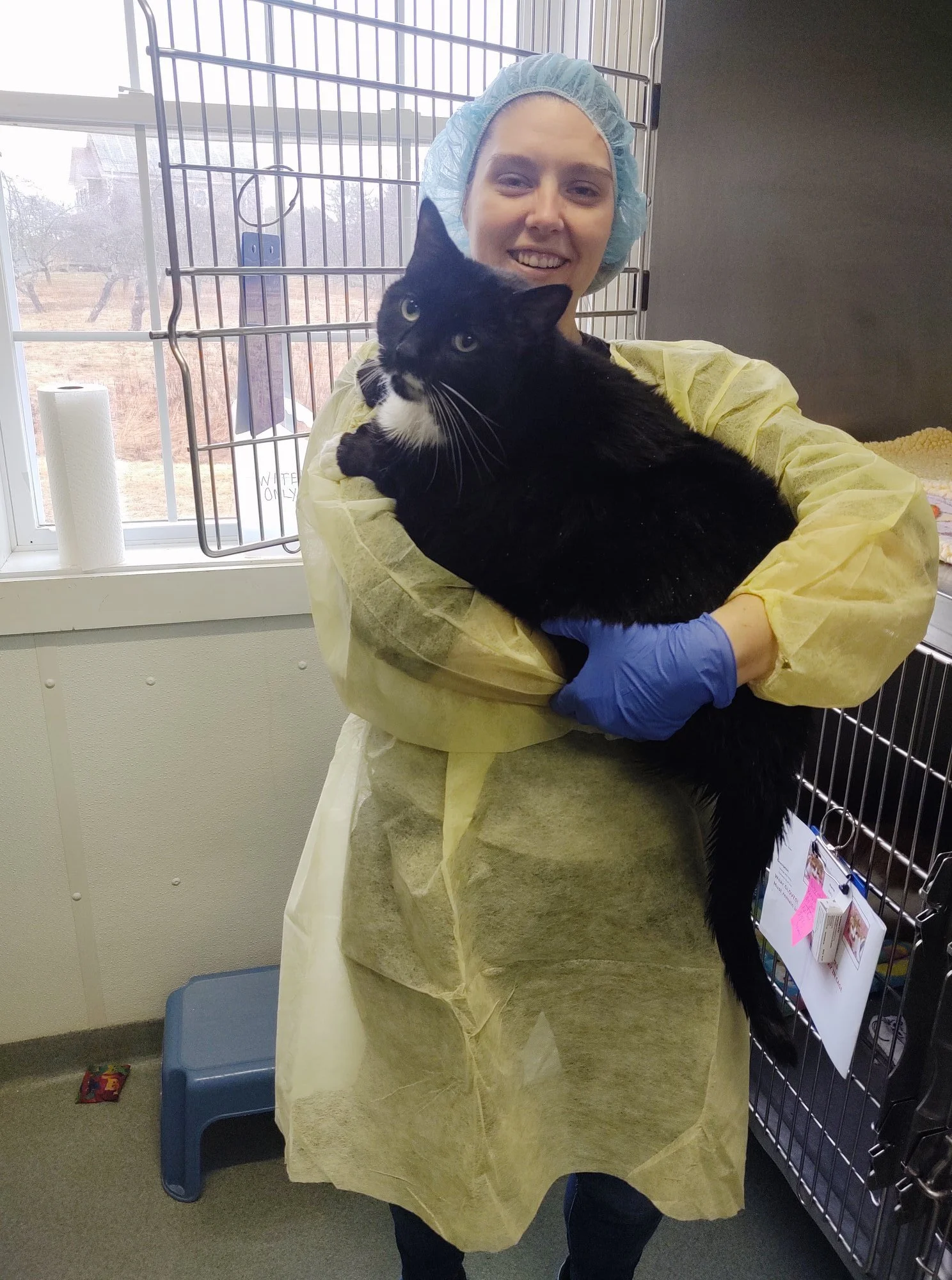 Current Opportunities — HART of Maine - Adoption Center & Shelter for Cats