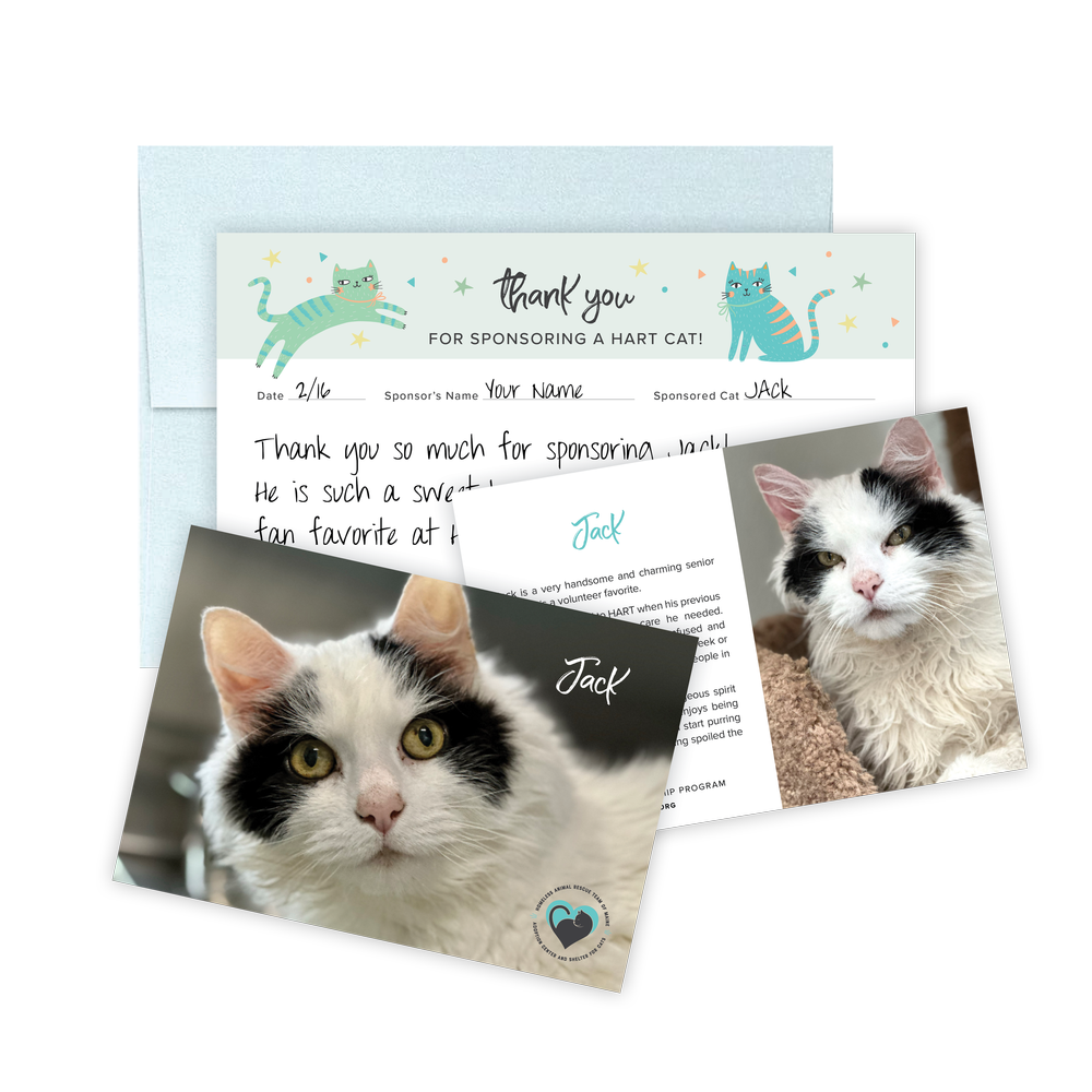 Cat Sponsorships — HART of Maine - Adoption Center & Shelter for Cats
