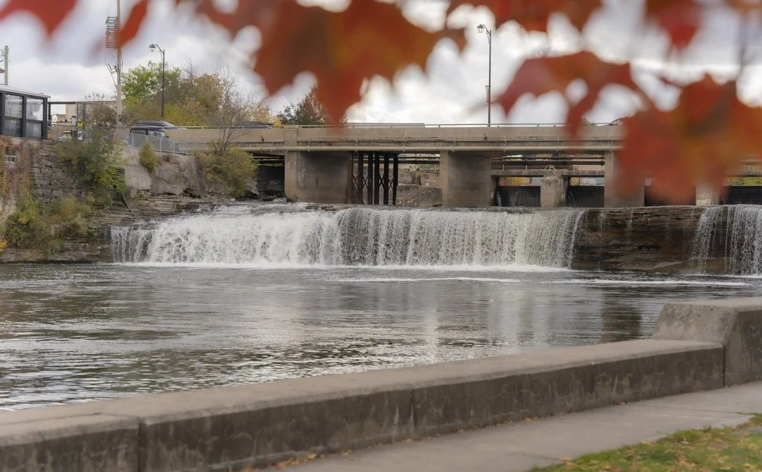 2022 Photo Wrap-Up — Explore Fenelon Falls