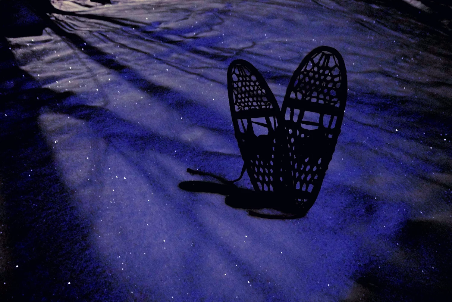 Cabin Fever? Not in Fenelon Falls — Explore Fenelon Falls