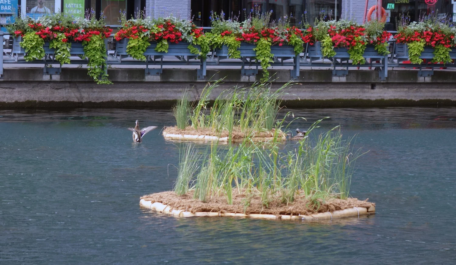 WaterFarmers — Floating Gardens