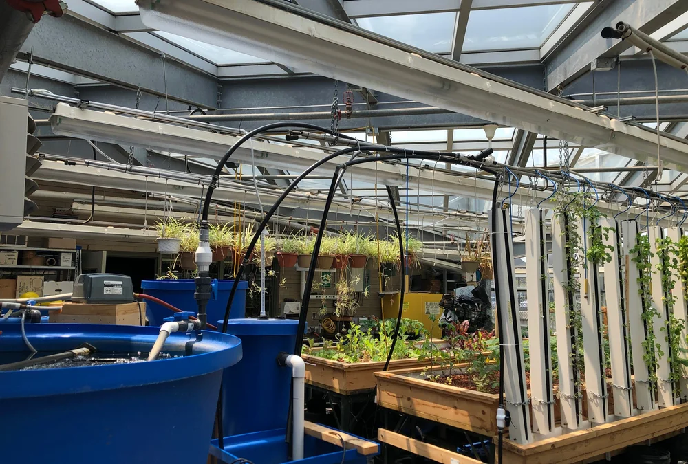 WaterFarmers — Classroom Aquaponics