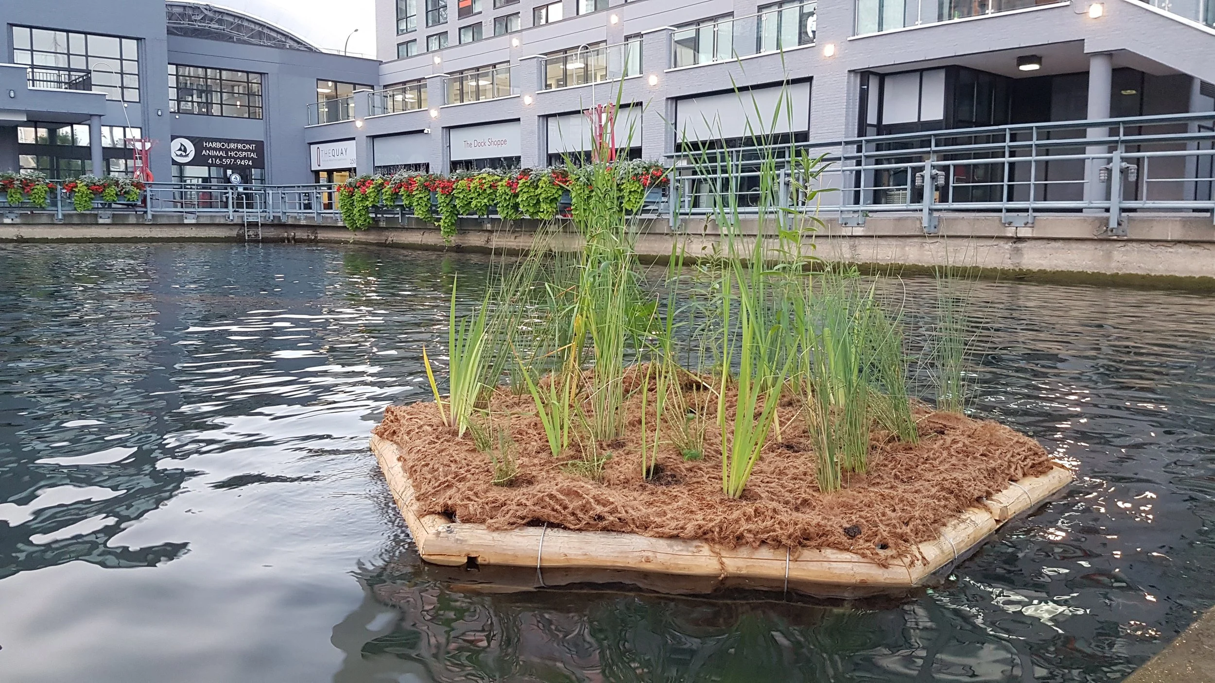 WaterFarmers — Floating Gardens