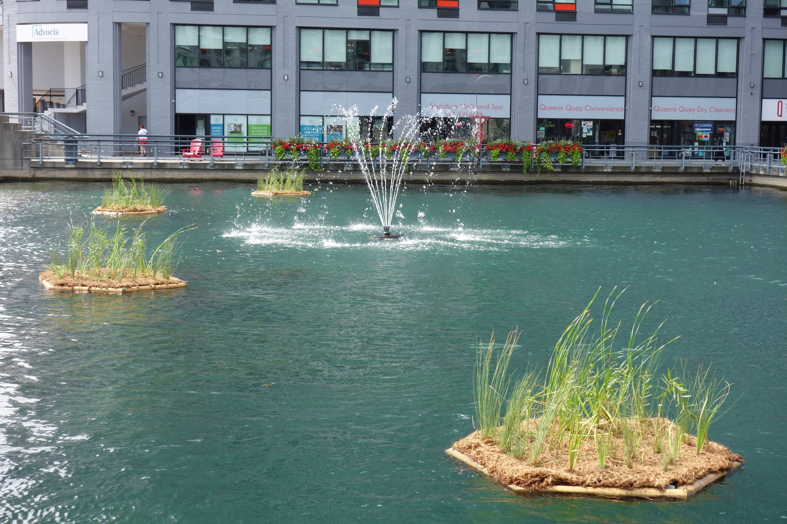 WaterFarmers — Floating Gardens