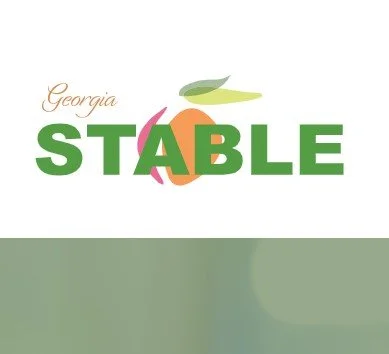 Resources for Parents and Caregivers — EmployAbility GA