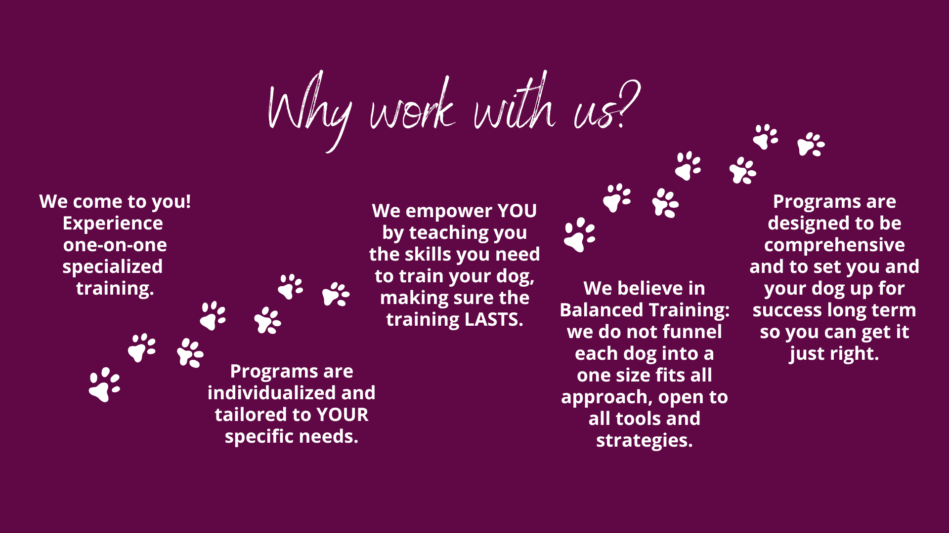 The Paw Effect Dog Training