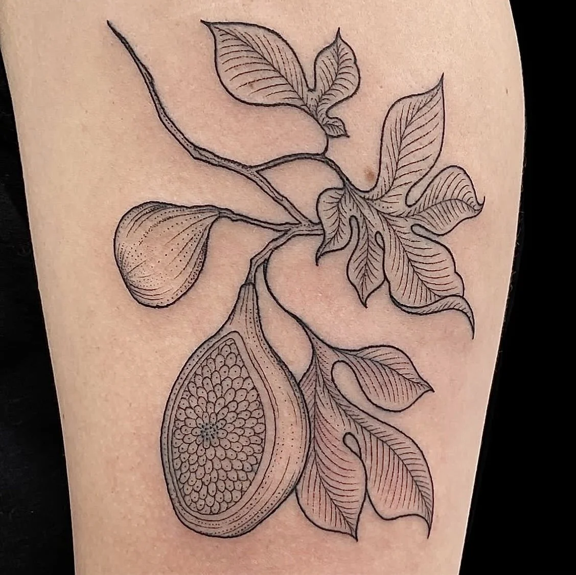 Fig Branch Tattoo