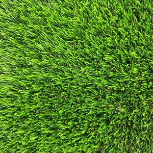 FRDM Turf | Premier Artificial Turf Installation