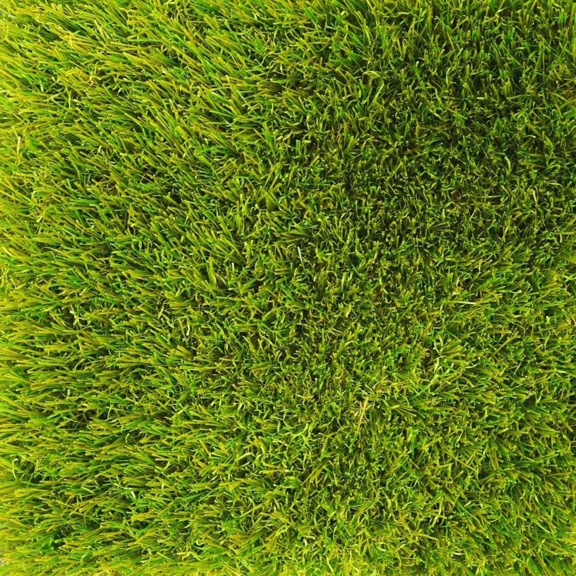 Turf Catalog — FRDM Turf