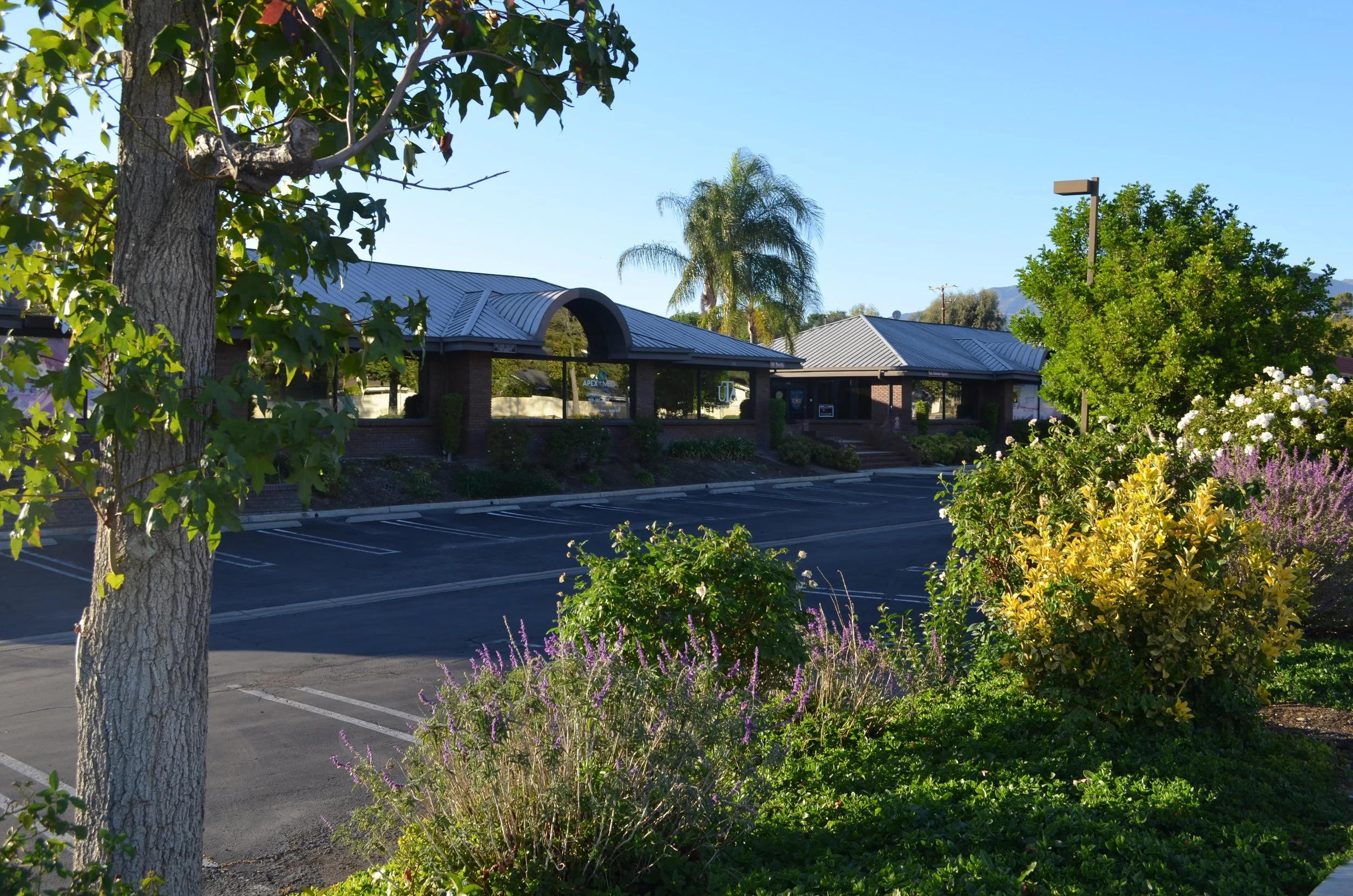 Apex Med Family Healthcare