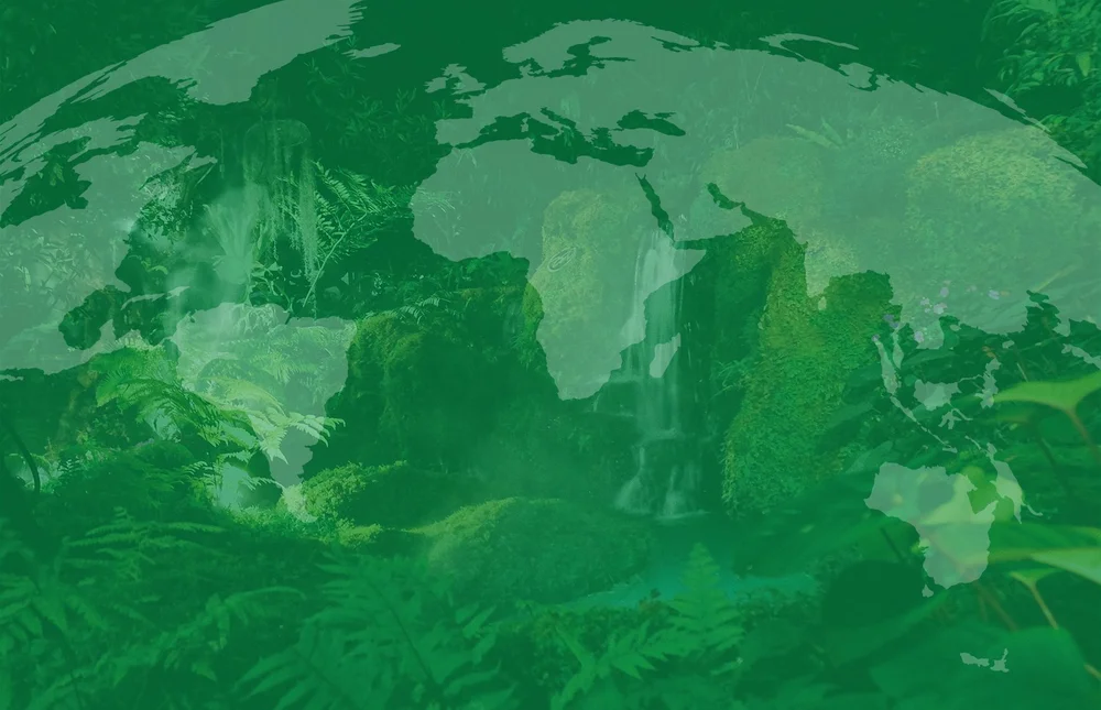 Art for the Planet — Chitresh Das Institute