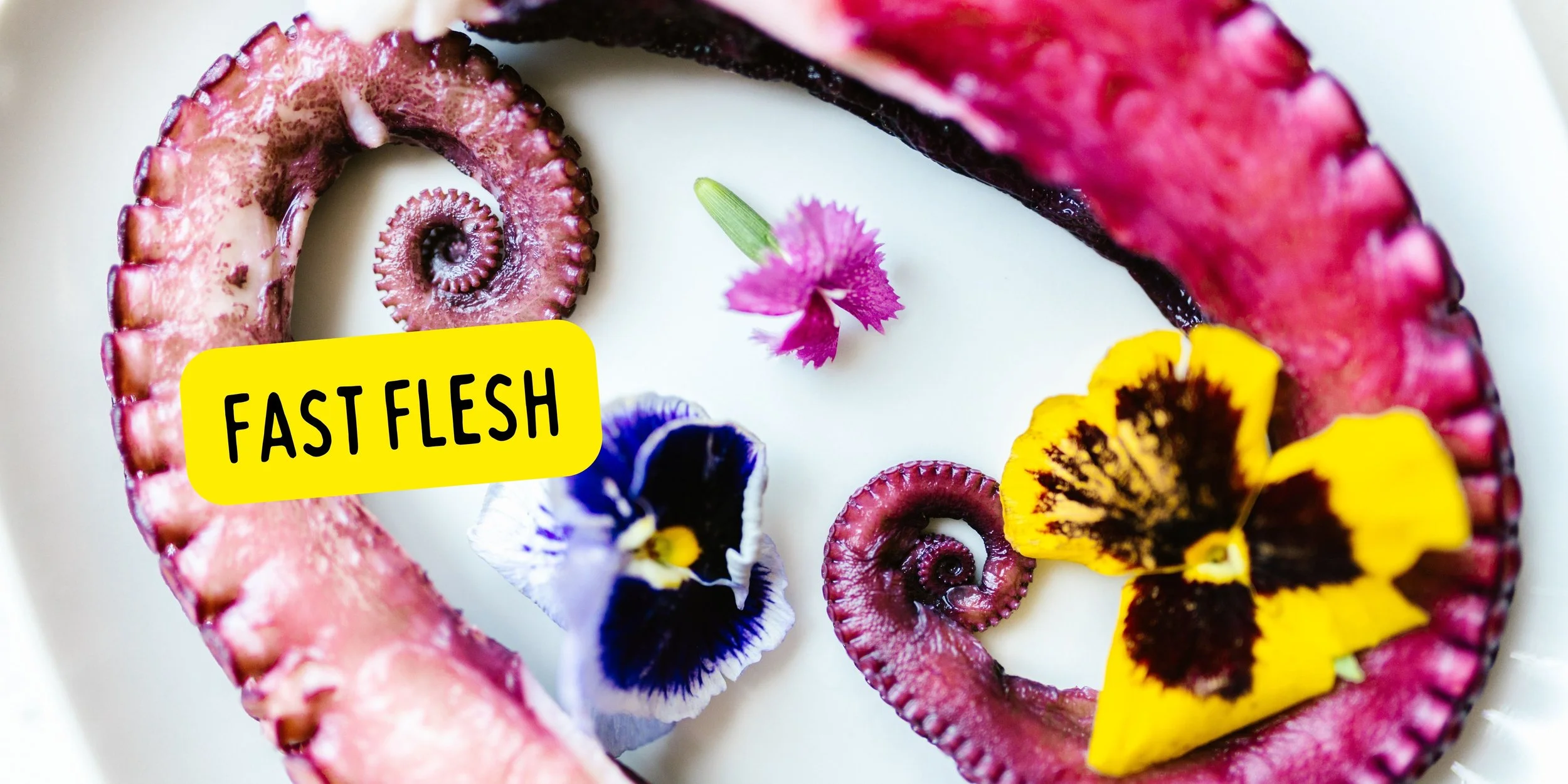 Fast Flesh Literary Journal