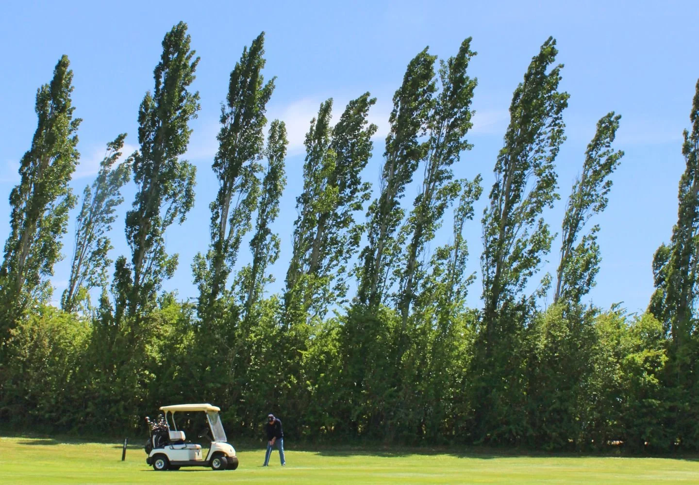 Golf — Quamby Estate