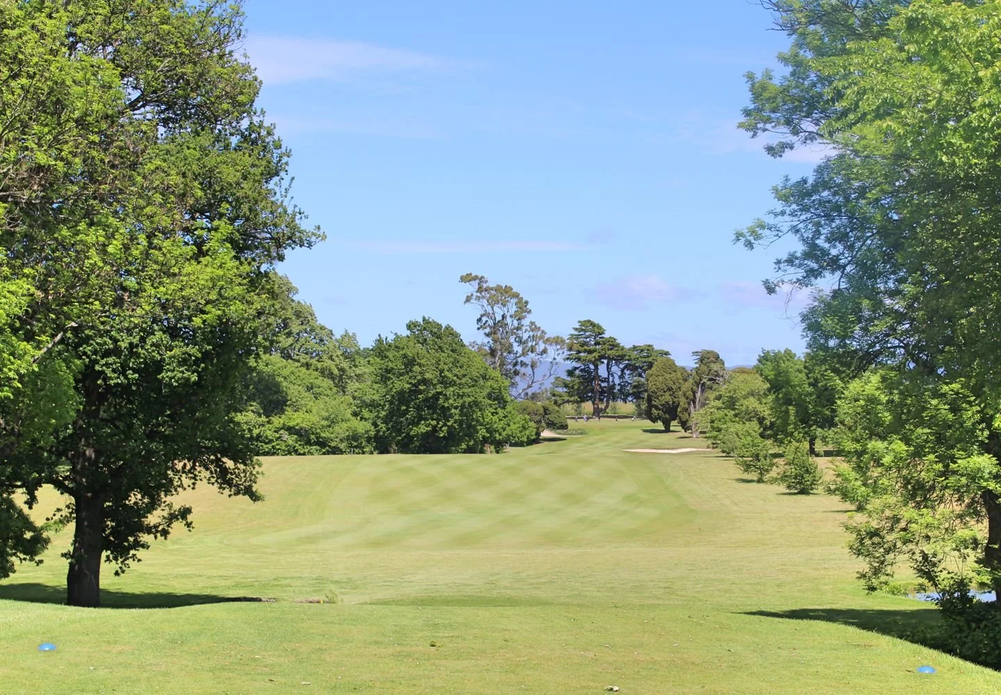 Memberships & Fees — Quamby Estate