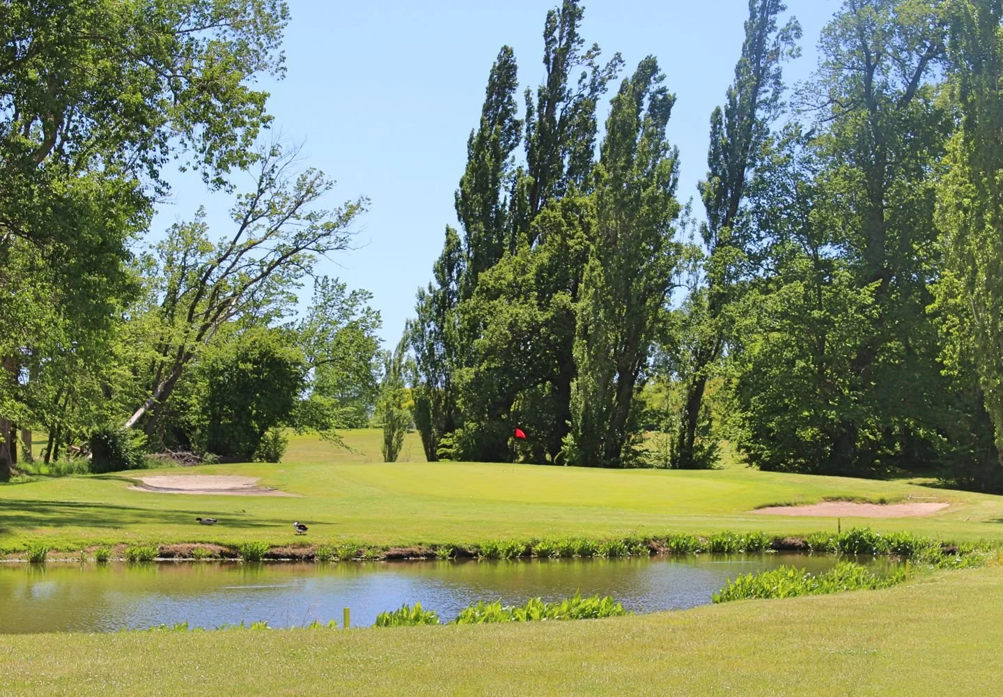 Golf — Quamby Estate
