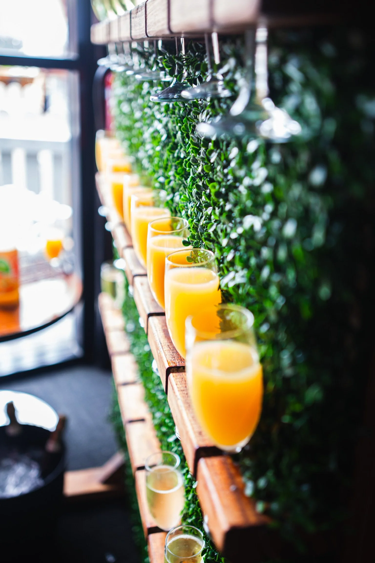 Functions — Mayberry Darwin