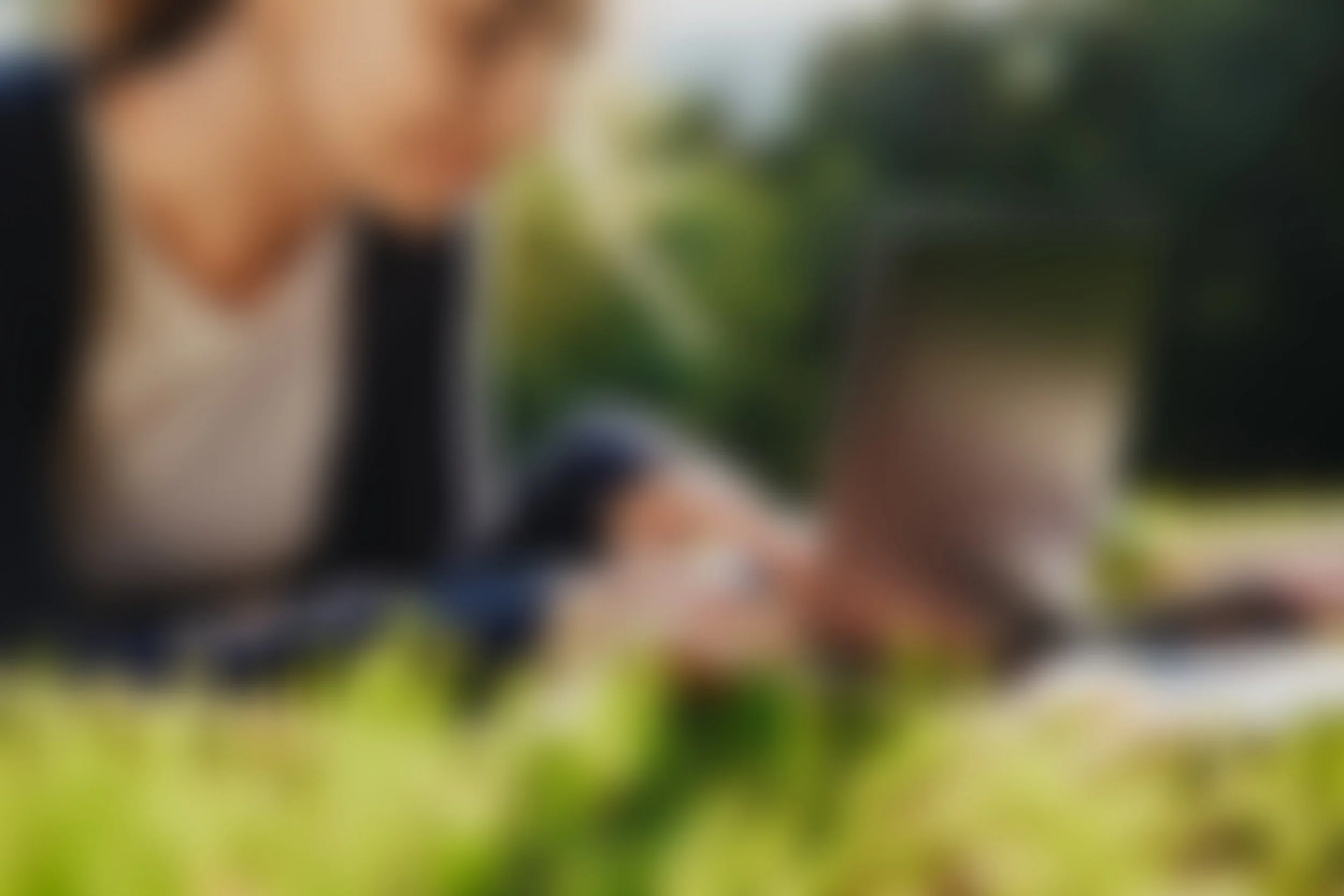 IA / TOK / EE Review — IB Tutoring Brisbane