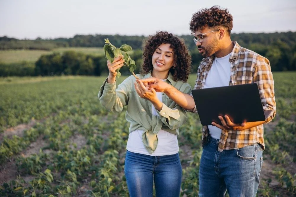Modern Methods of Pest Control in Agriculture — RYNAN Agriculture