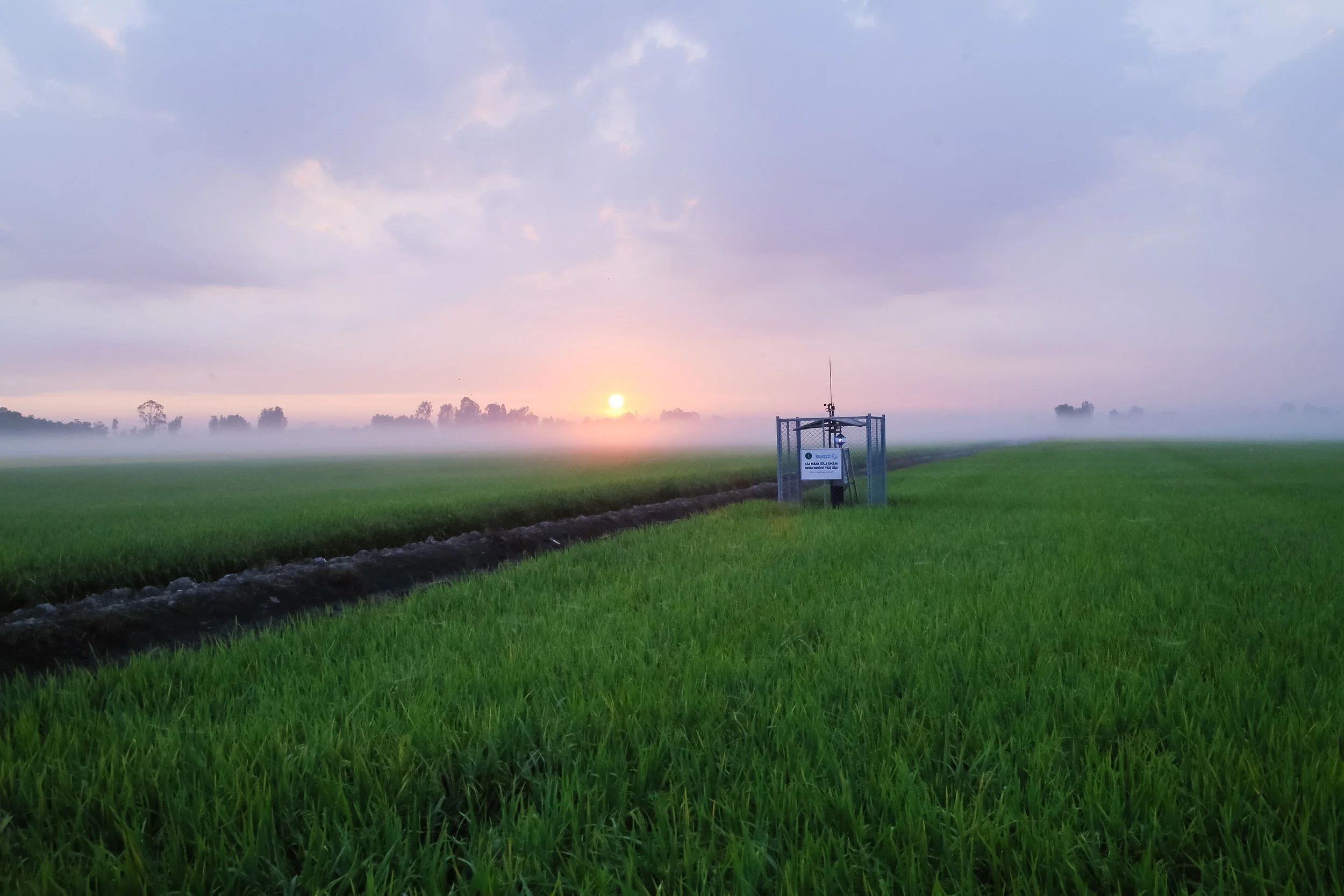 Video Submission for Pilot Program — RYNAN Agriculture