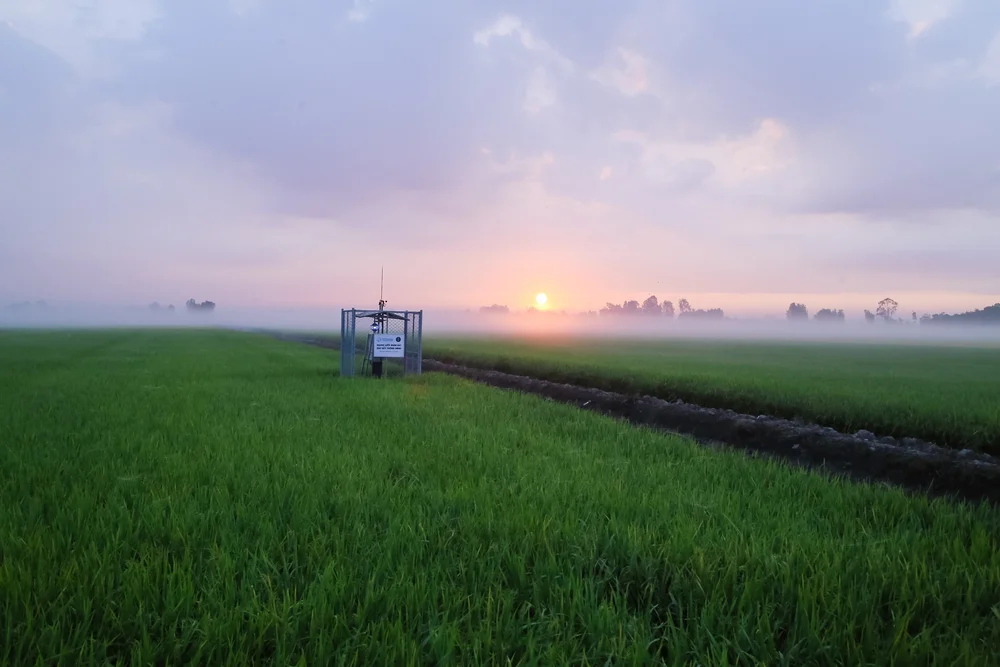 Insect Monitoring System — RYNAN Agriculture