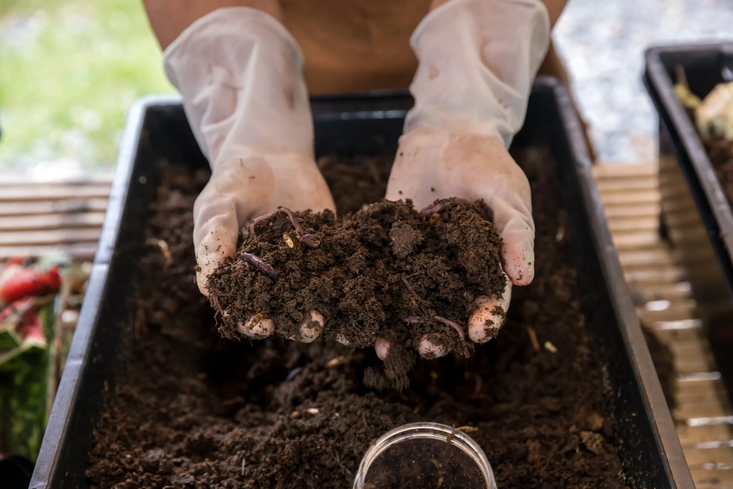 Organic and Synthetic Fertilizers — RYNAN Agriculture