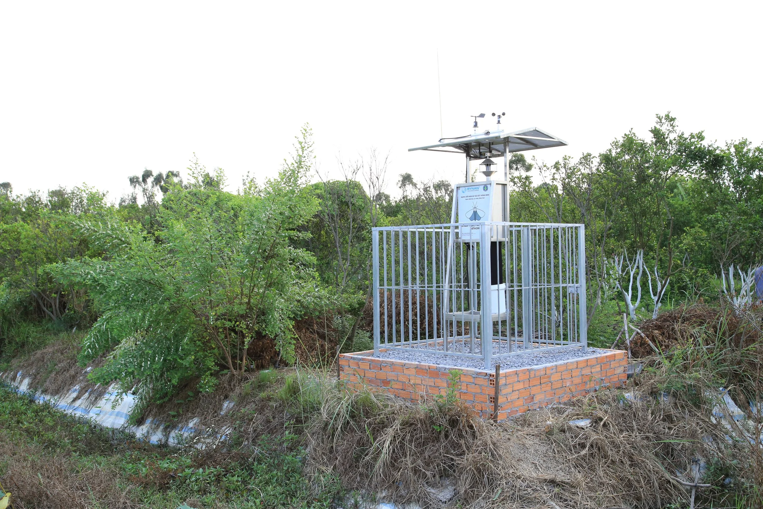 Insect Monitoring System — RYNAN Agriculture