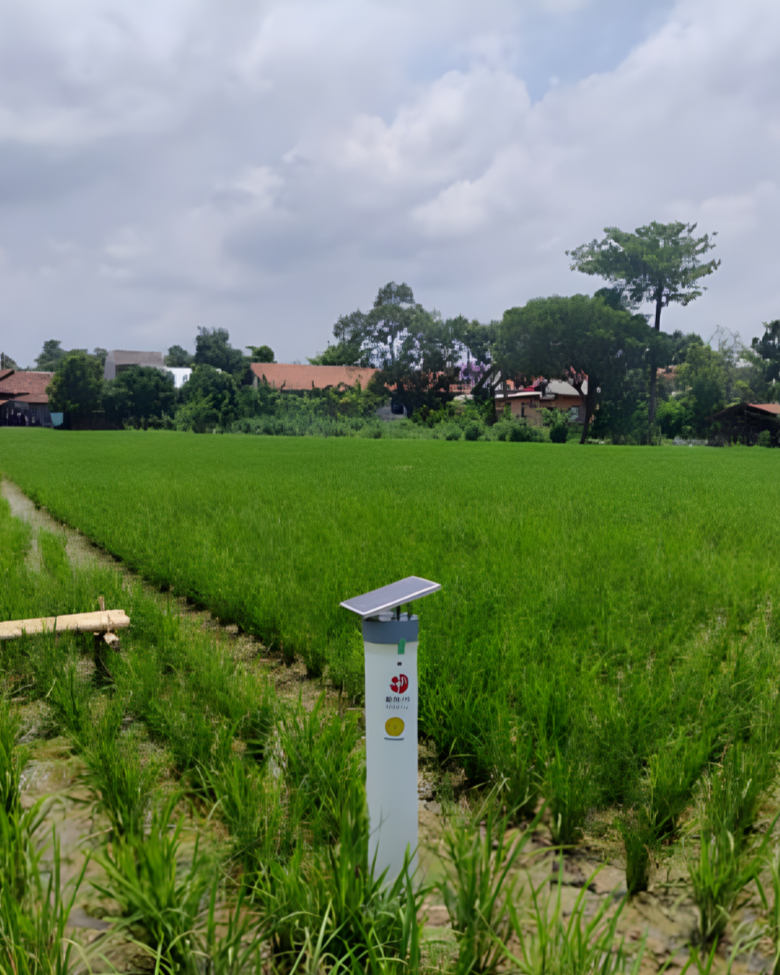 Digitalised AWD Technology Transforming Rice Production — RYNAN Agriculture