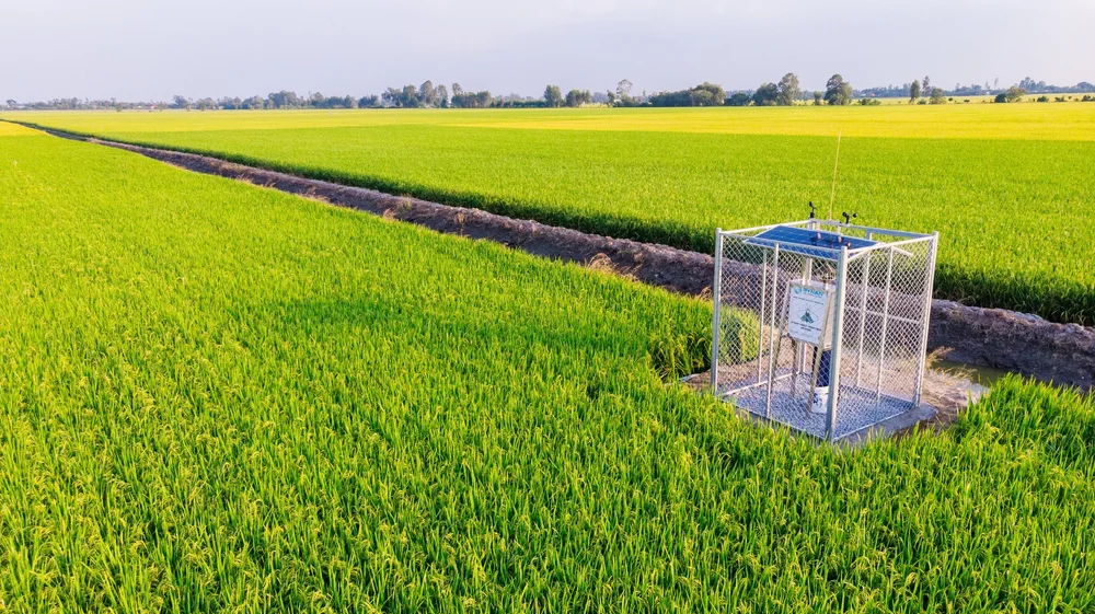 Insect Monitoring System — RYNAN Agriculture