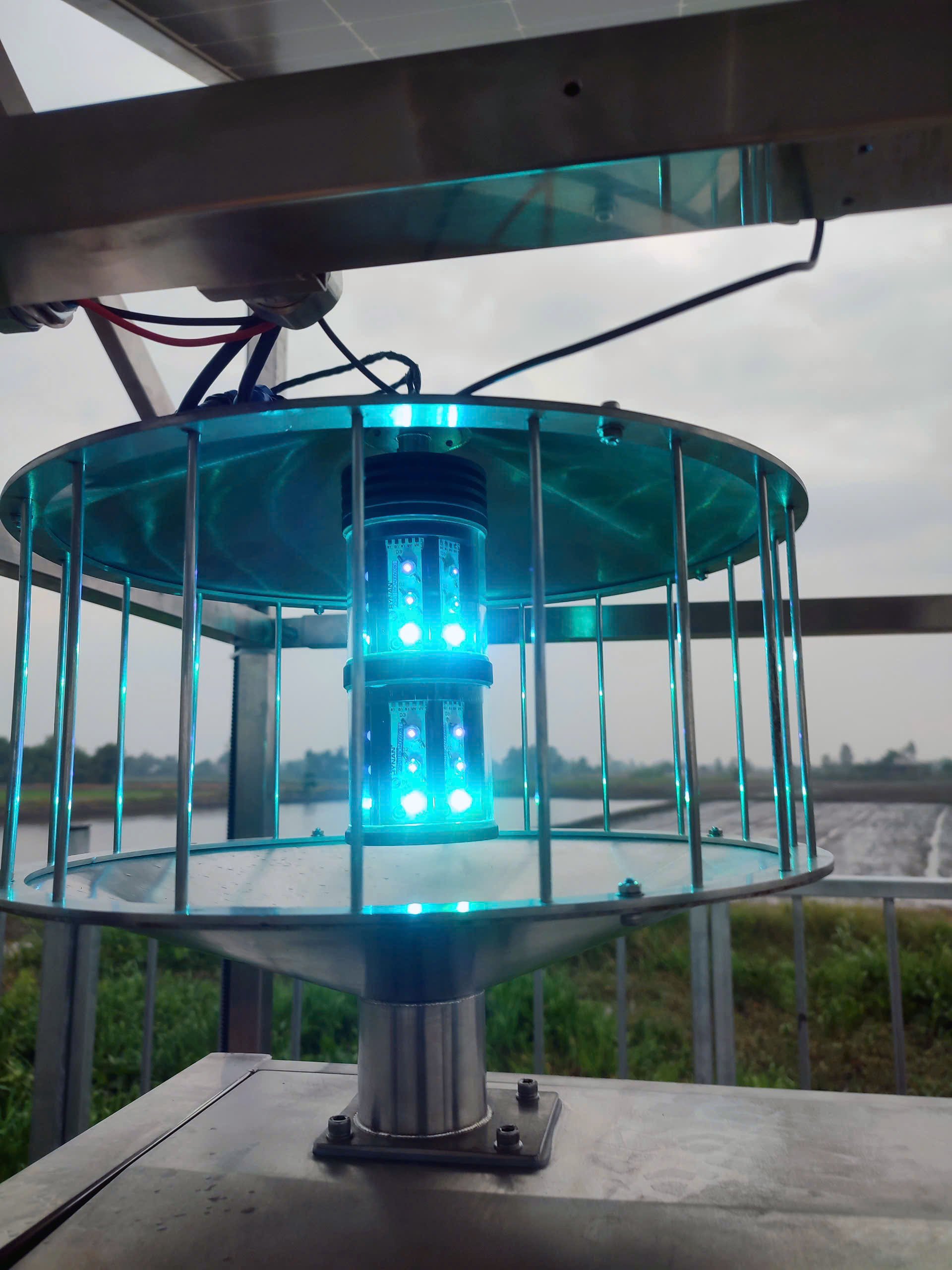 Why Light Traps Matter for Modern Agriculture? — RYNAN Agriculture