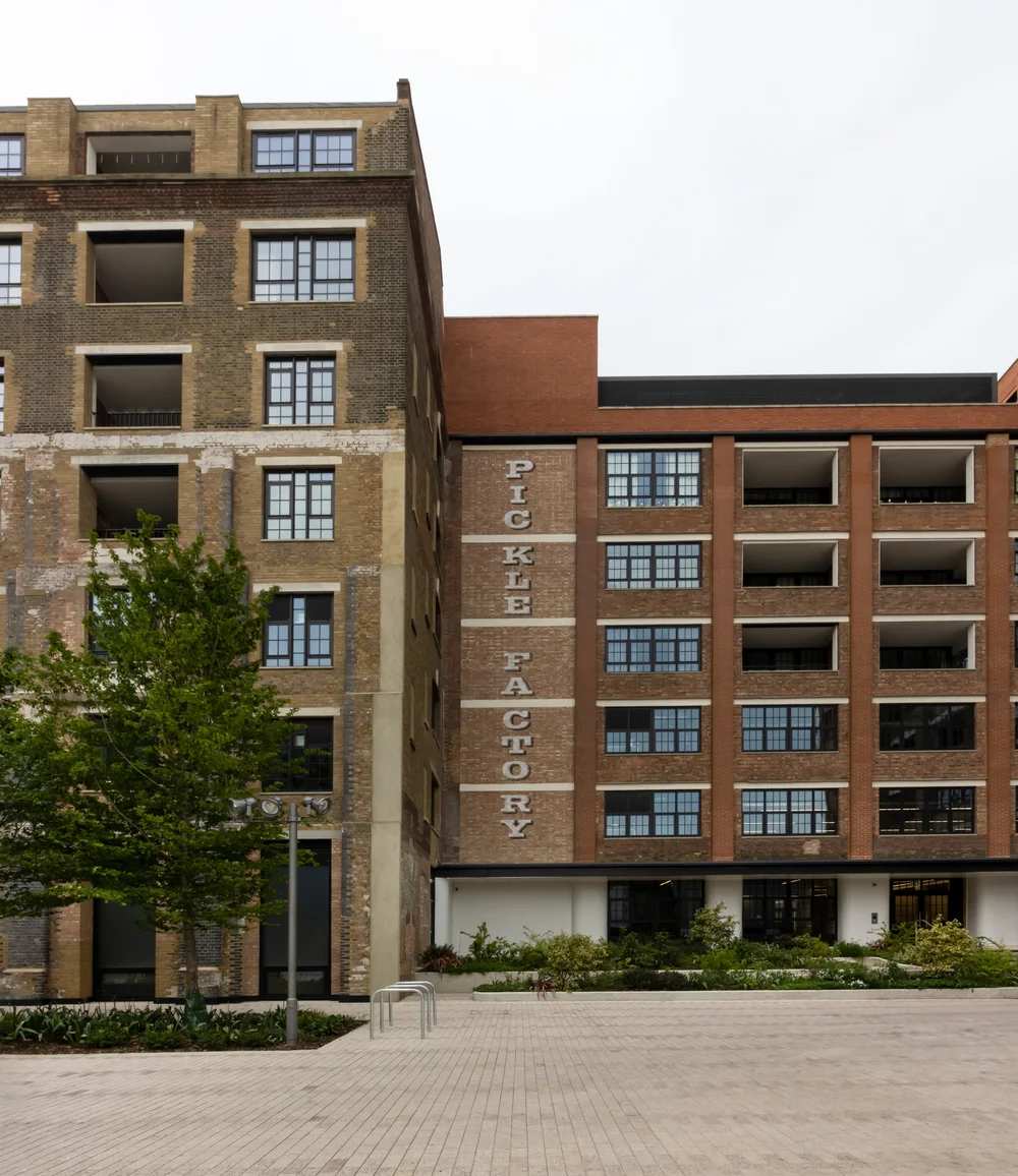 The Pickle Factory — Blou Dynamic