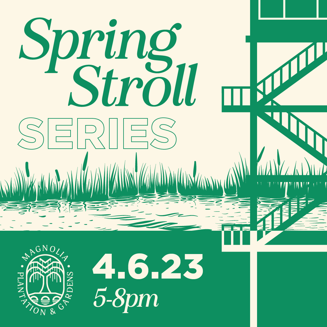 Spring Stroll Series: Journey to the Observation Tower — Magnolia ...