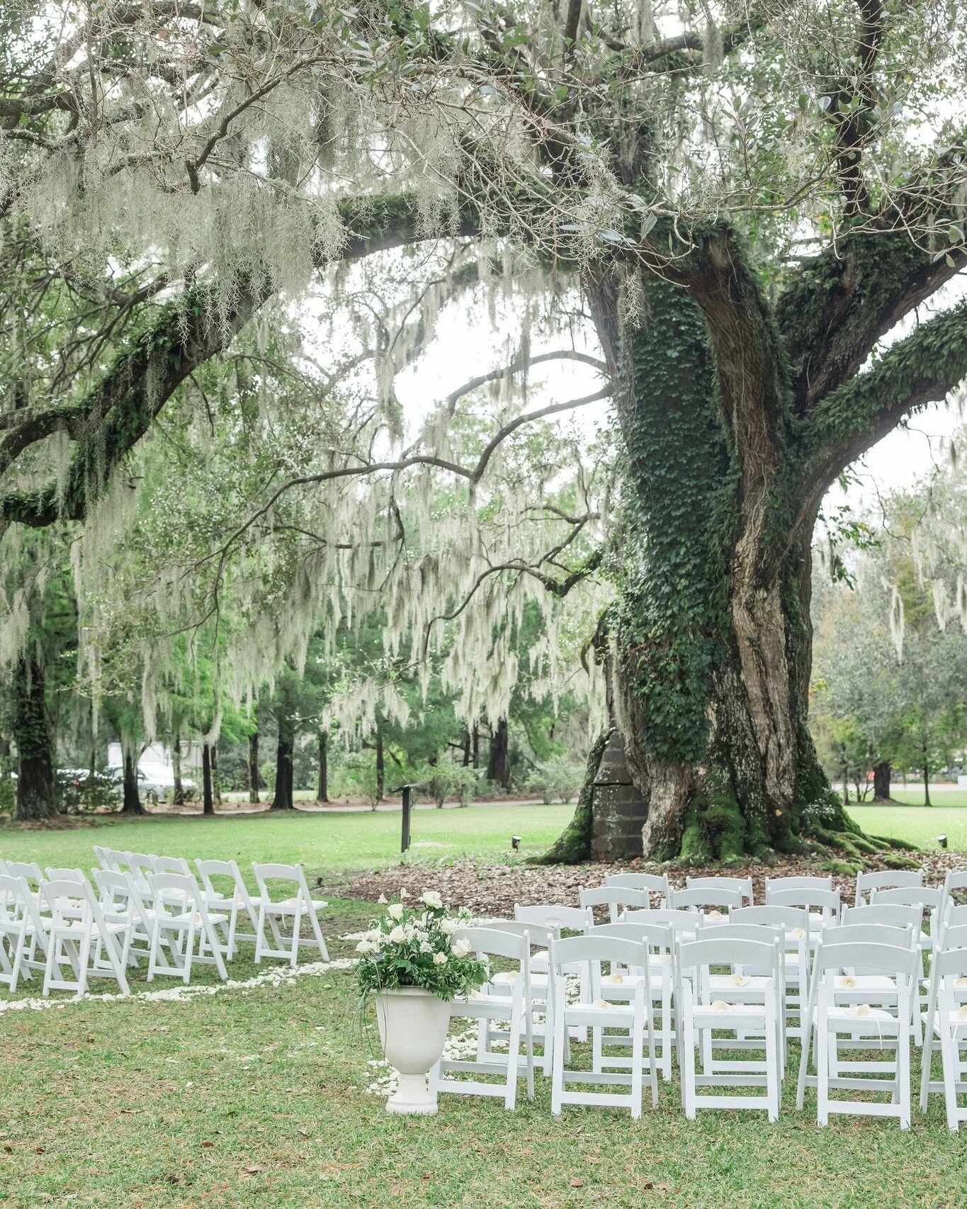 Plan a Wedding in Charleston SC — Magnolia Plantation & Gardens