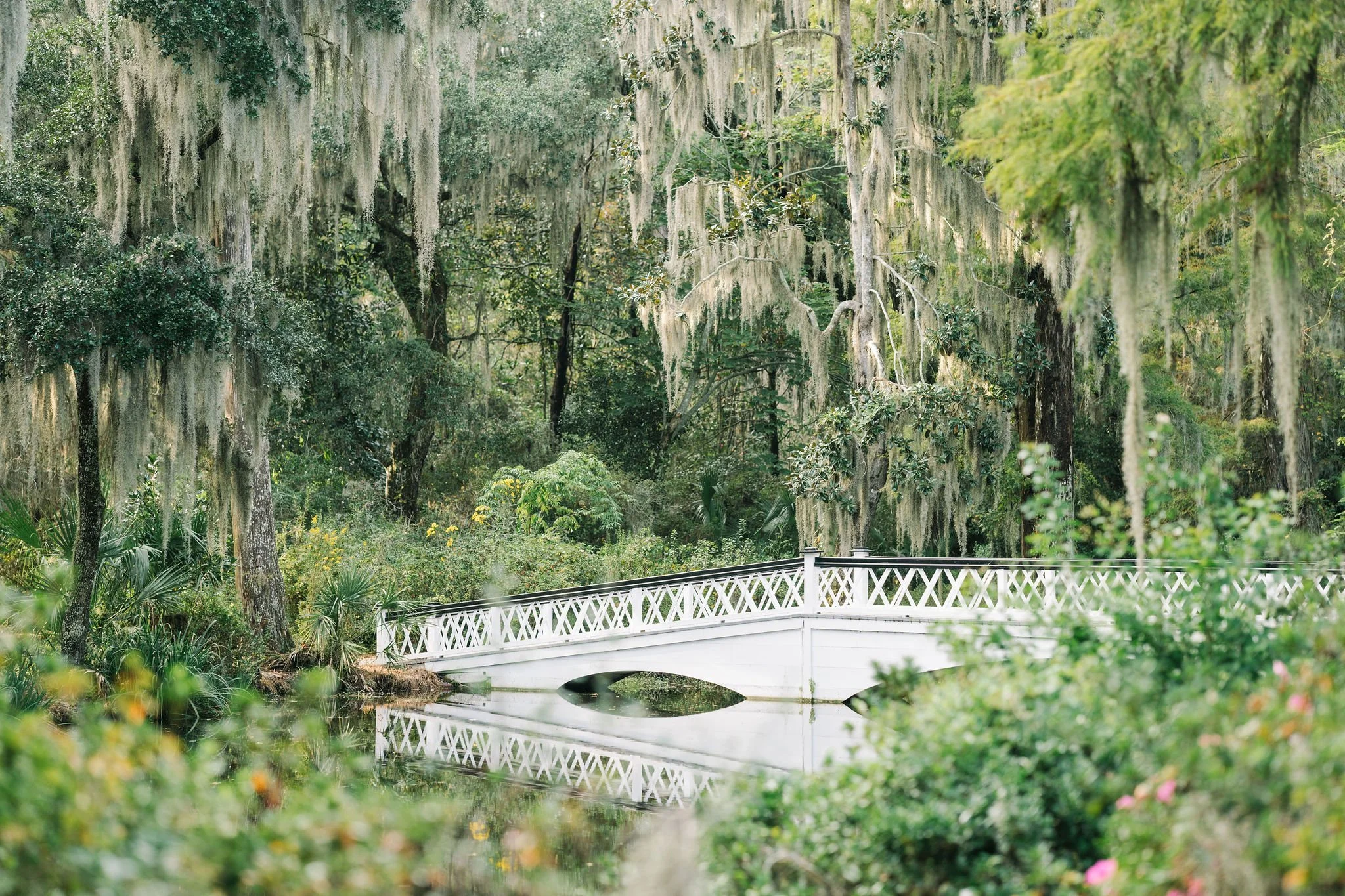 Special Events in Charleston SC — Magnolia Plantation & Gardens