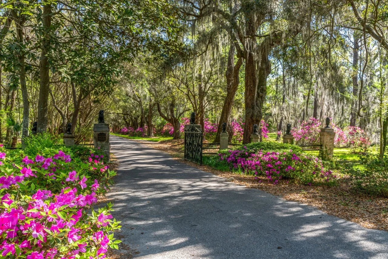 Magnolia Blog — Magnolia Plantation & Gardens