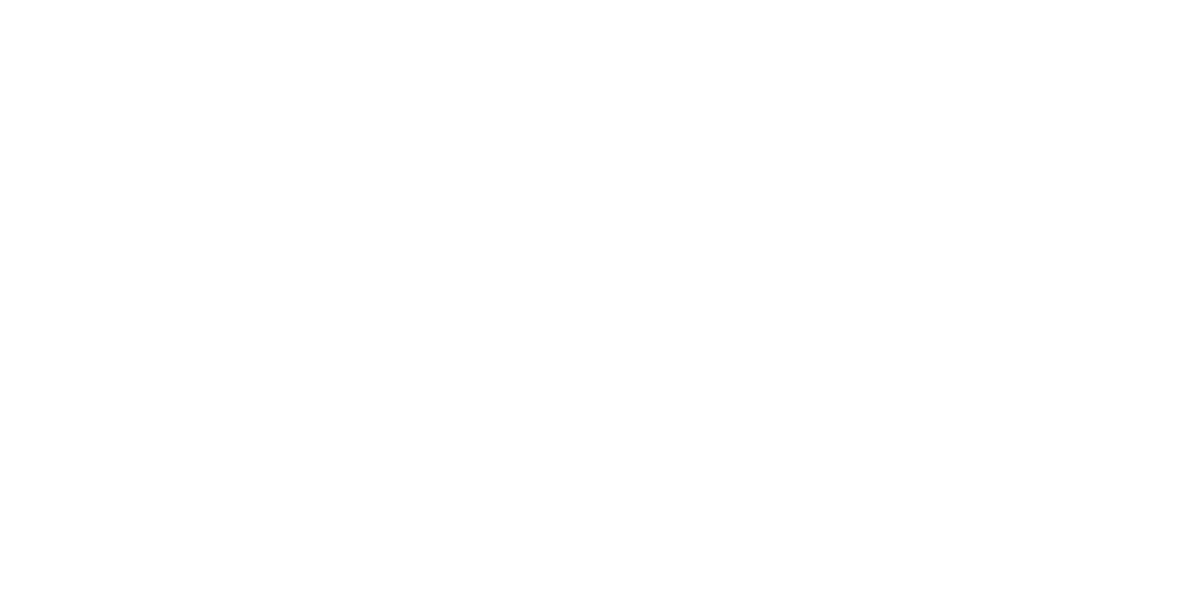 The 1886 Charleston Earthquake — Magnolia Plantation & Gardens