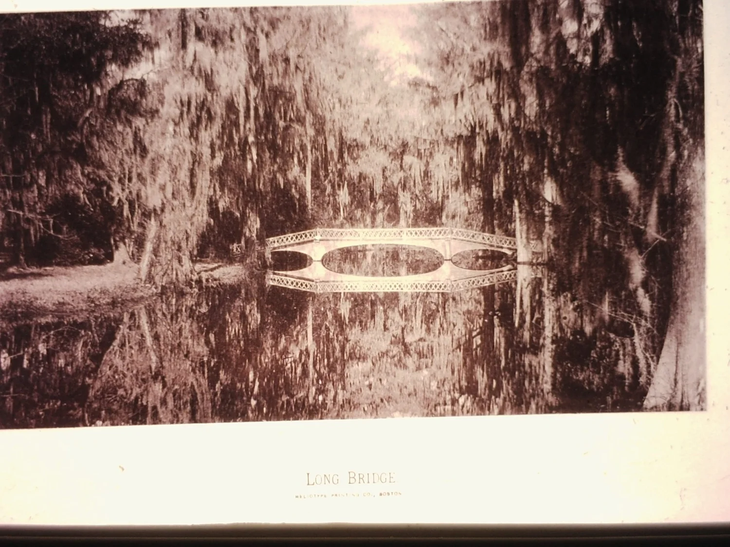 History — Magnolia Plantation & Gardens