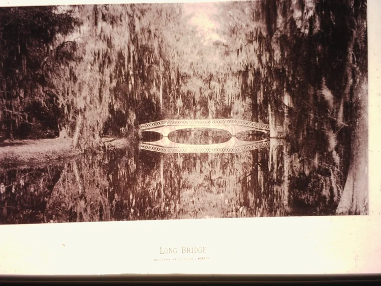 History — Magnolia Plantation & Gardens