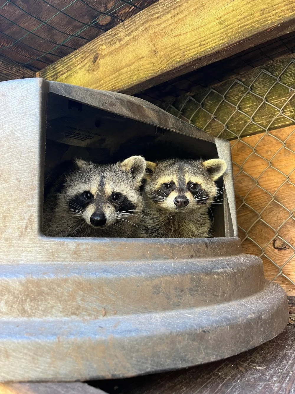 Welcome to the Wildlife Center! — Magnolia Plantation & Gardens