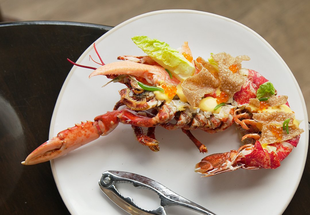 Wild Flor – Well cellared, classic cookery in Hove