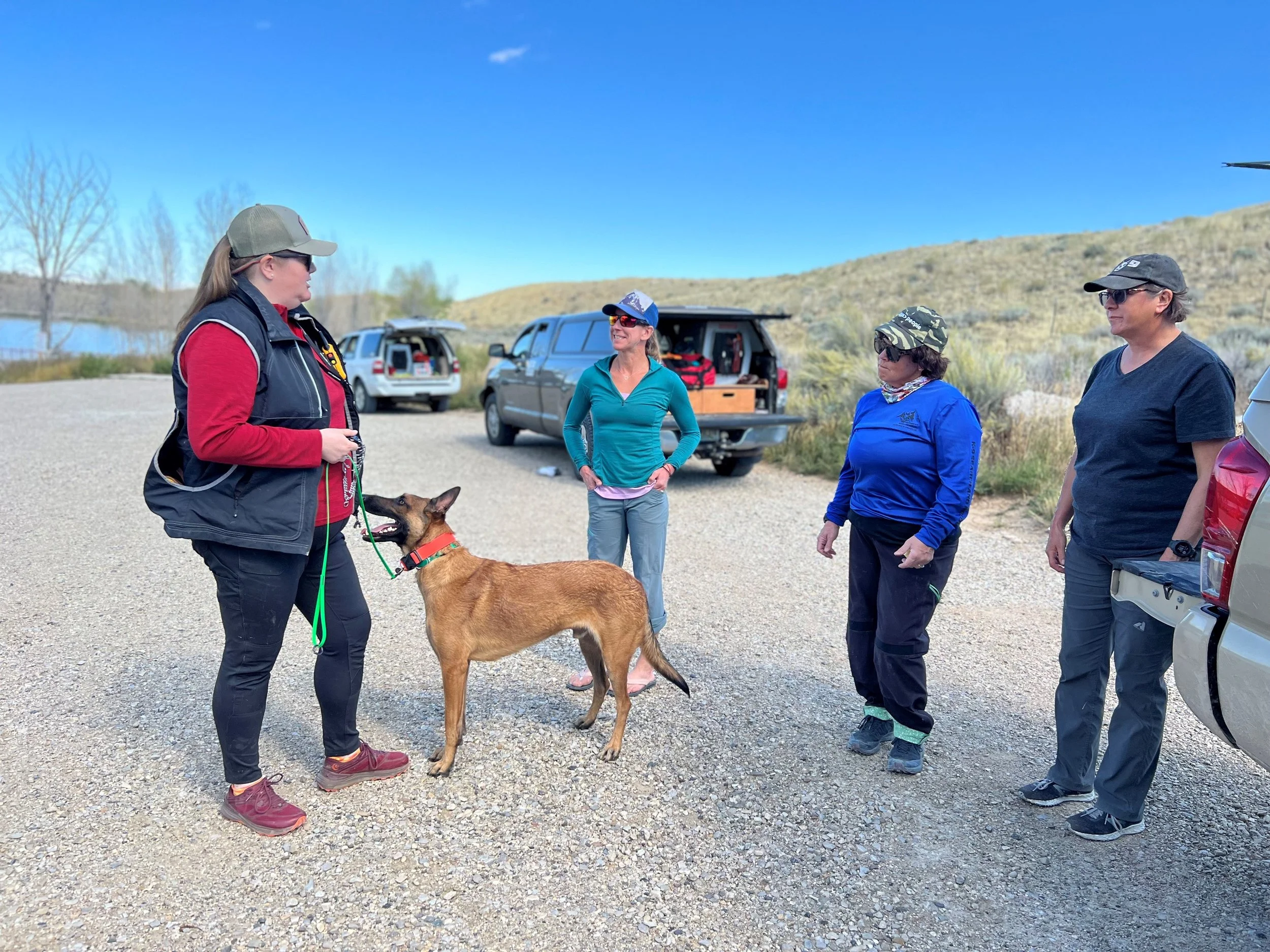 Northwest K9 Search & Recovery