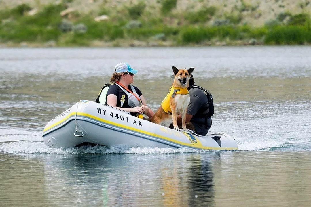 WHAT WE DO — Northwest K9 Search & Recovery