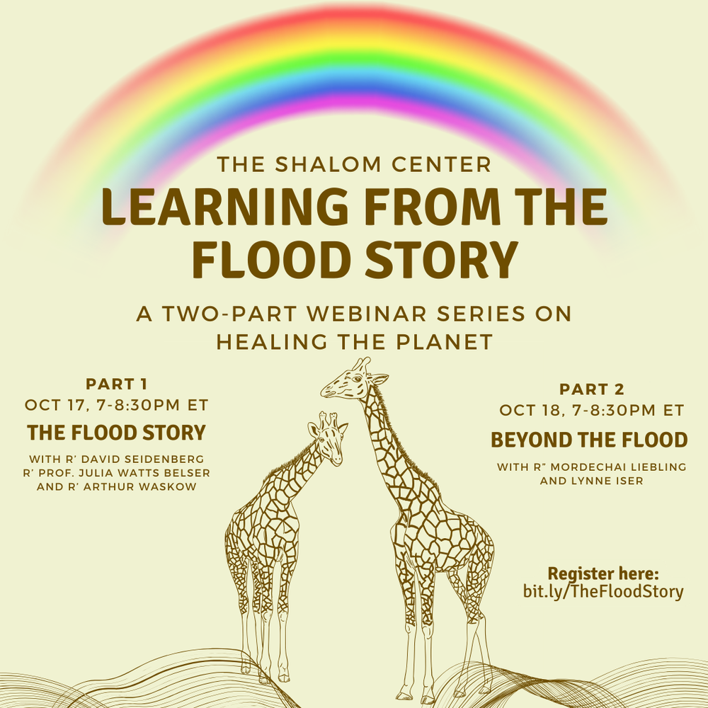 Learning from the “Great Flood” Story — The Shalom Center