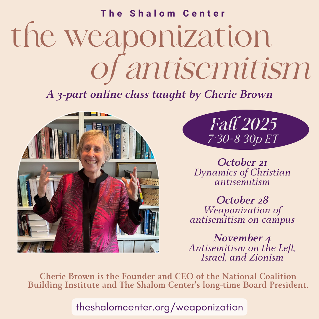 The Weaponization of Antisemitism with Cherie Brown — The Shalom Center
