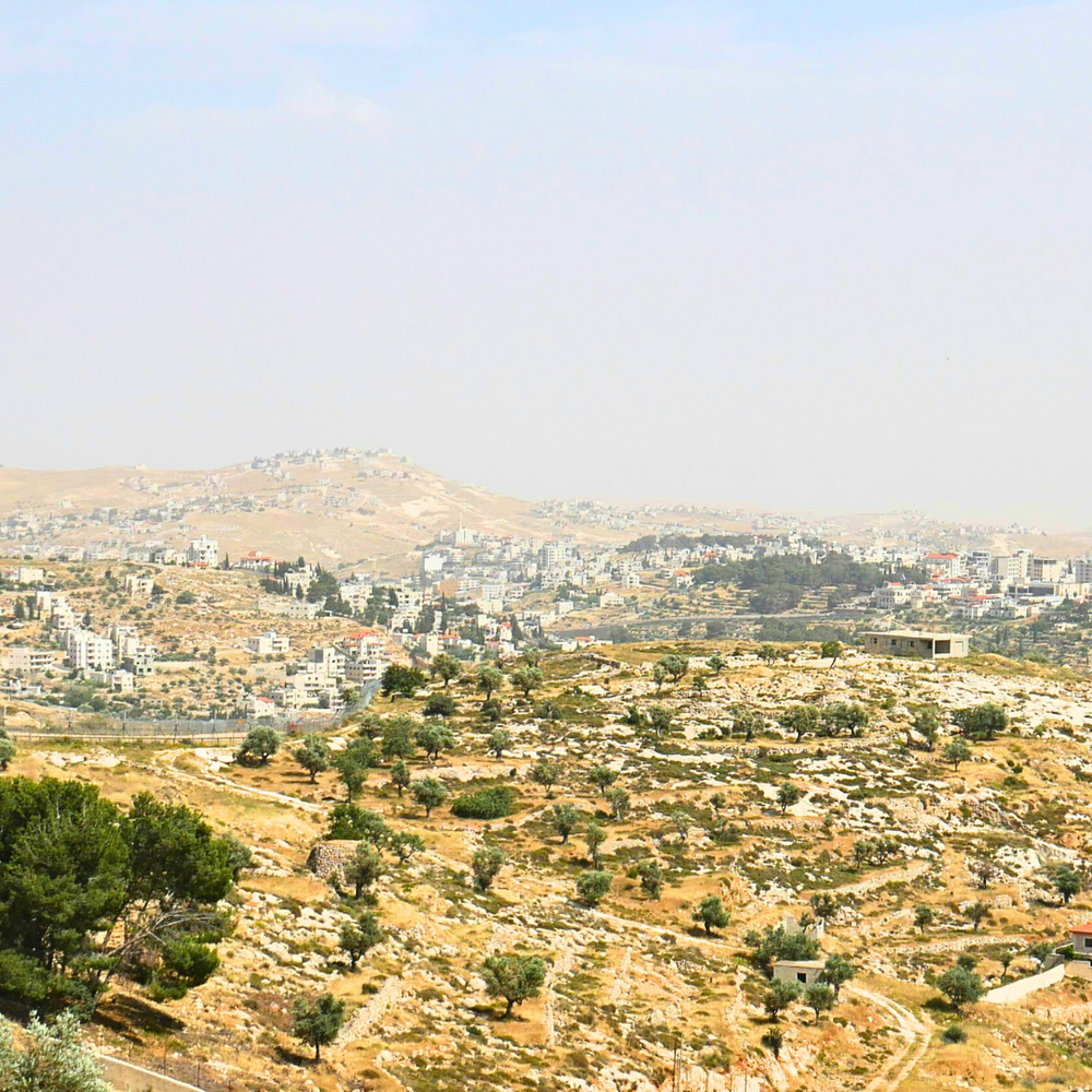 The Shalom Report — The Shalom Center