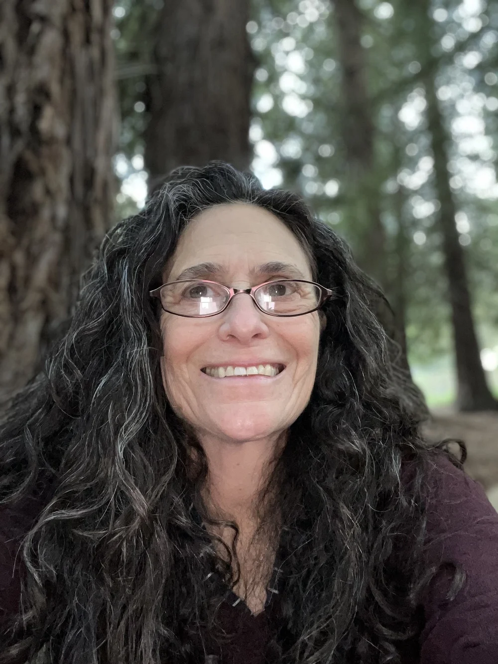 Chapter 9 Project — The Shalom Center