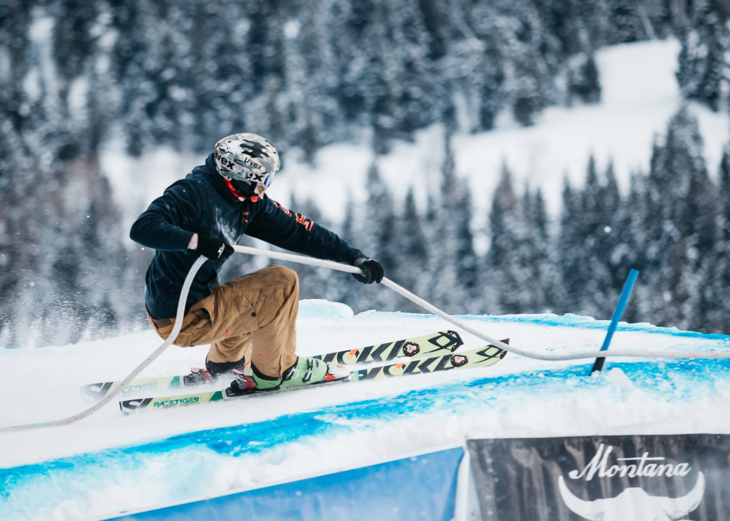 Big Sky Skijoring Association